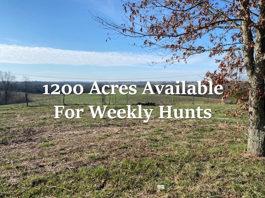 Hunting Land For Lease In Kentucky