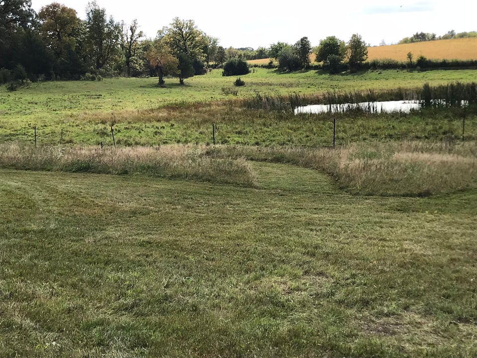 HLRBO Hunting Lease - 24 acres in Rice County,MN