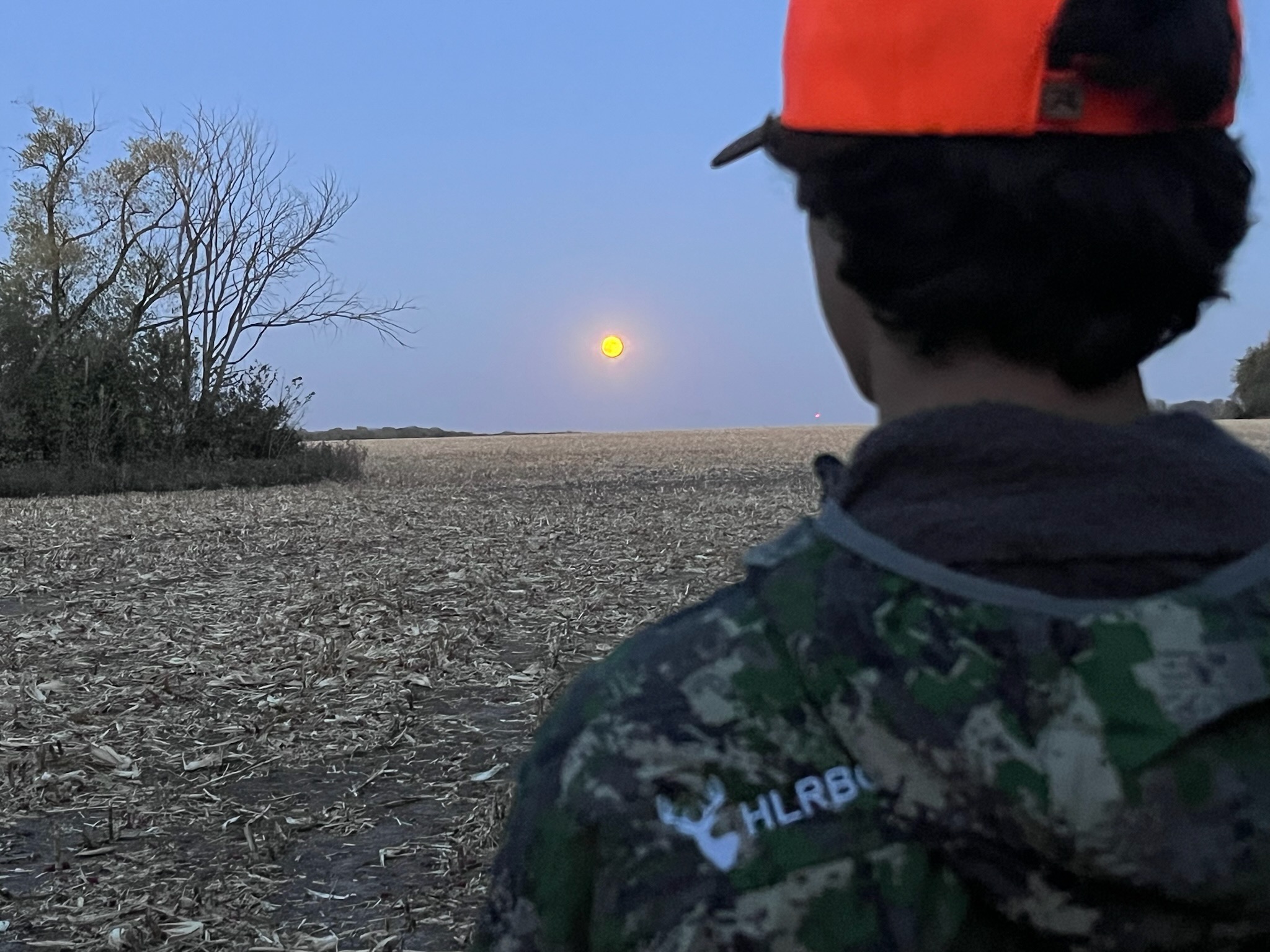 HLRBO - Too Young to Hunt Alone New Law Rekindles Debate