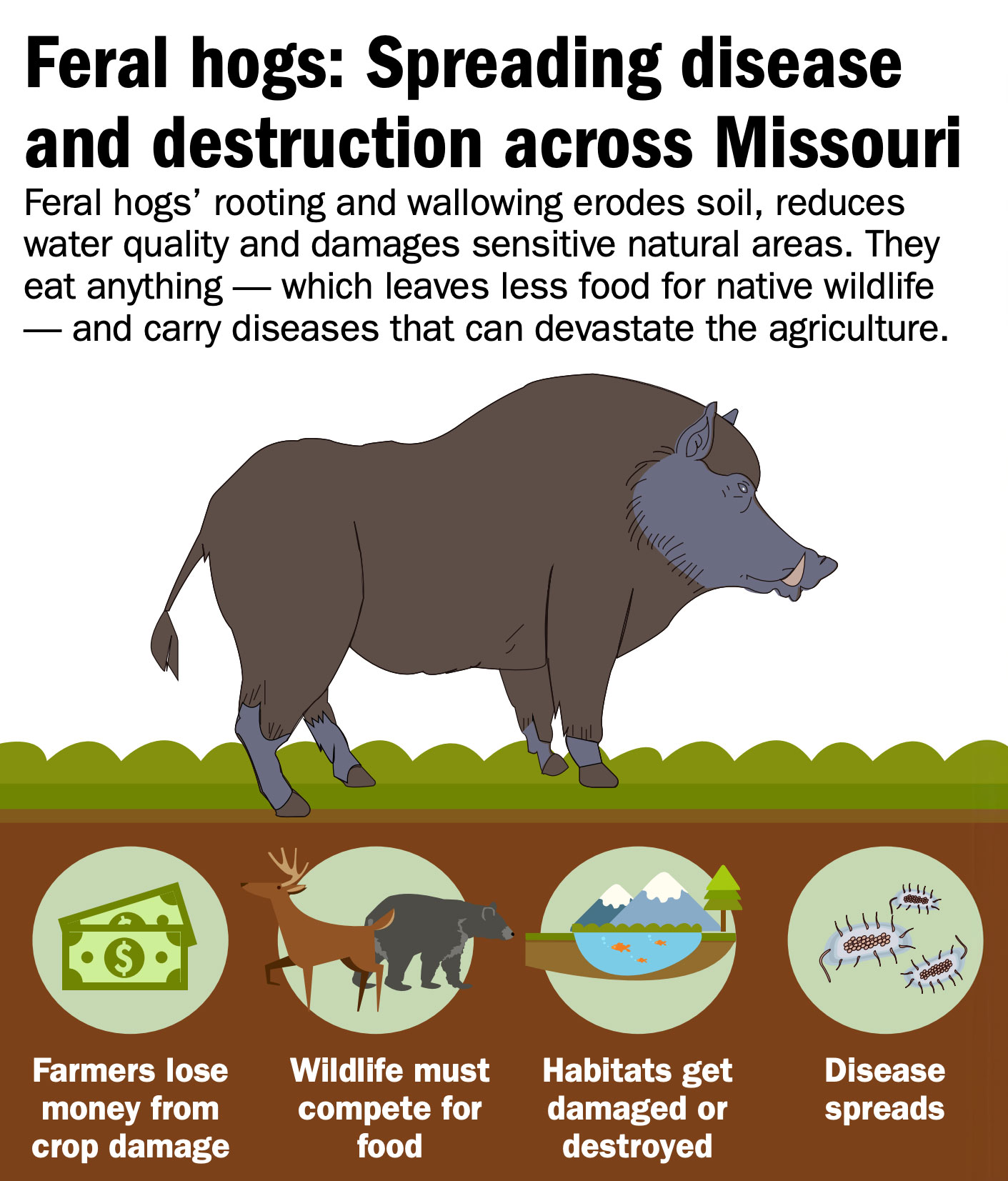 HLRBO - Boar Invasion Landowners And Hunters Fight Back