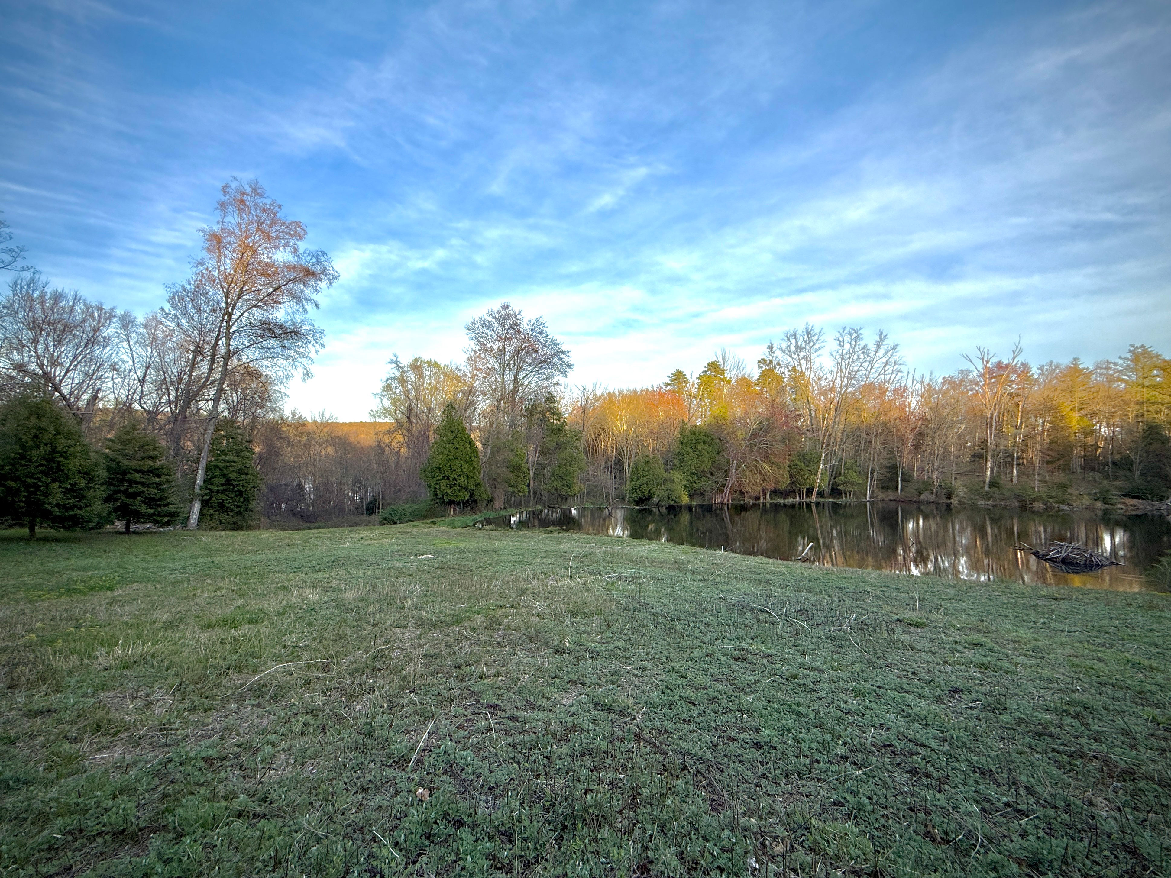 HLRBO - How Private Property Preserves Wild Lands
