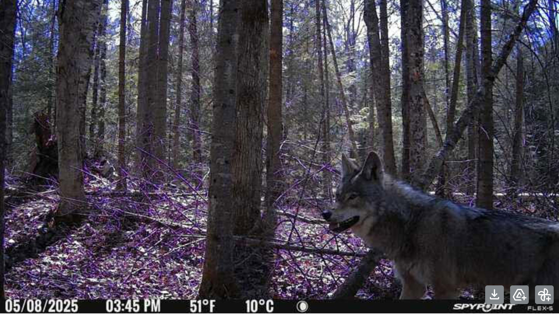 HLRBO - HLRBO Deploys Over 100 Trail Cameras Nationwide